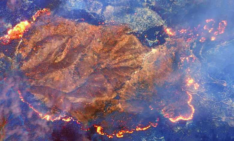 Scientists Fight Wild Fires from Space with Remarkable Success | twib.news