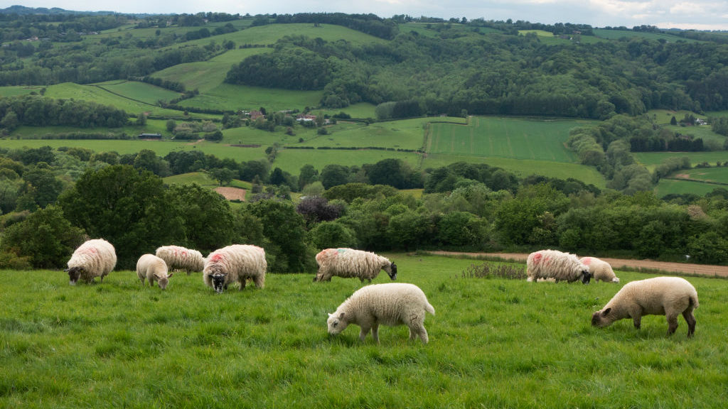 High-Tech Farm Lab Checks Which Plants and Animals Are More Sustainable ...