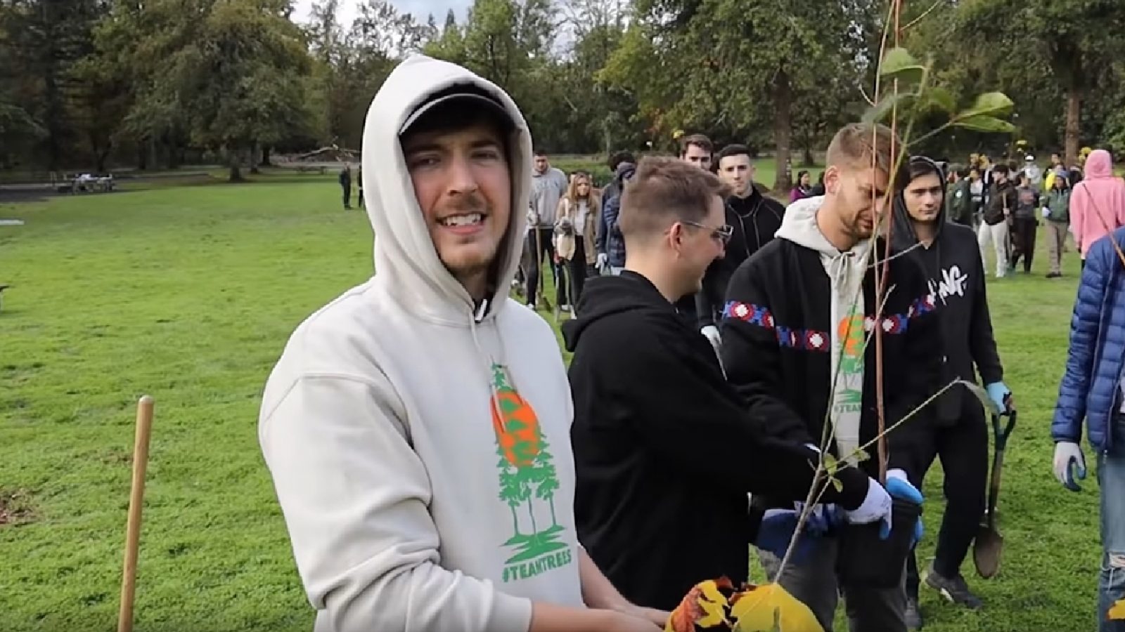 YouTube Star Wants to Have a Tree Planted for Every Follower - That's ...
