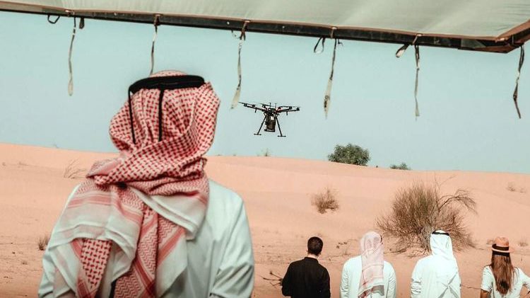 Meet the Ghaf Tree: Comes from Arabia, Might Travel the World | twib.news