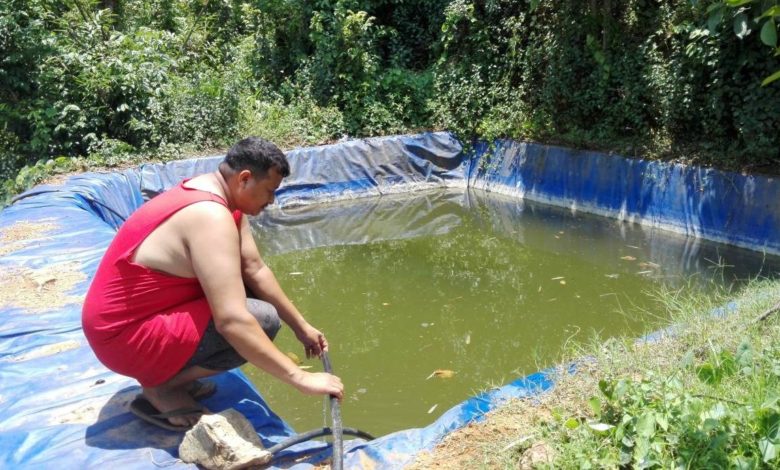 Water Storage Ponds Keep Farmers at Ease During Droughts | twib.news