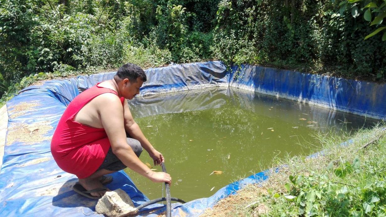 Water Storage Ponds Keep Farmers at Ease During Droughts | twib.news