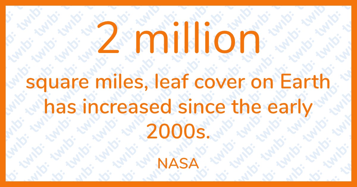 2 million square miles, leaf cover on Earth has increased since the ...