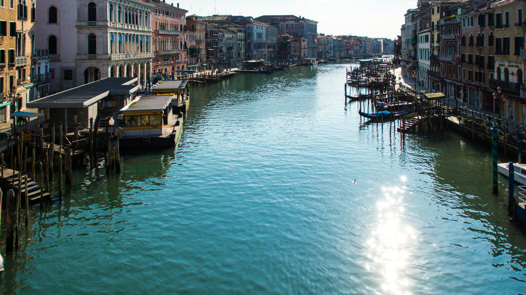 Fish Are Happy as Venice’s Dirty Canals Clear up (Because People Stay ...
