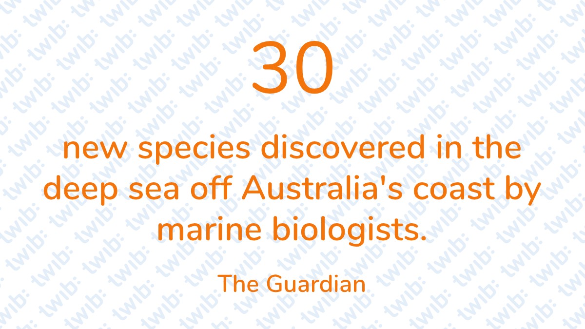 30 new species discovered in the deep sea off Australia's coast by ...
