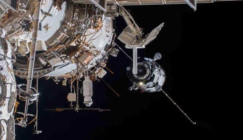 Scientists Track Animals from Space to Help Protect Them | twib.news
