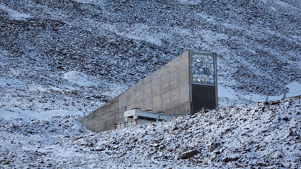 Save the Seeds: 60,000 Emergency Crops Added to Arctic Vault | twib.news