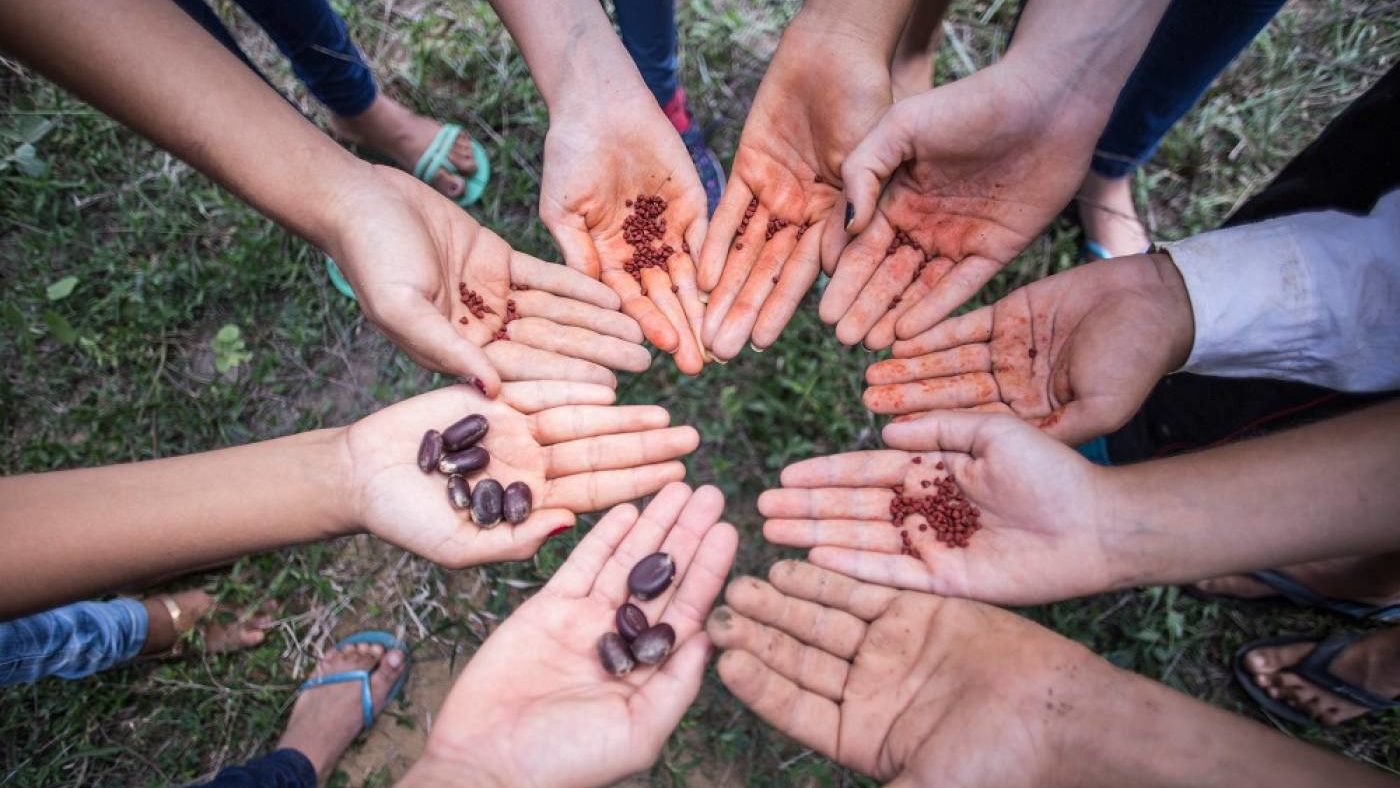 People in the Amazon Collect Tree Seeds to Help Reforestation - and ...