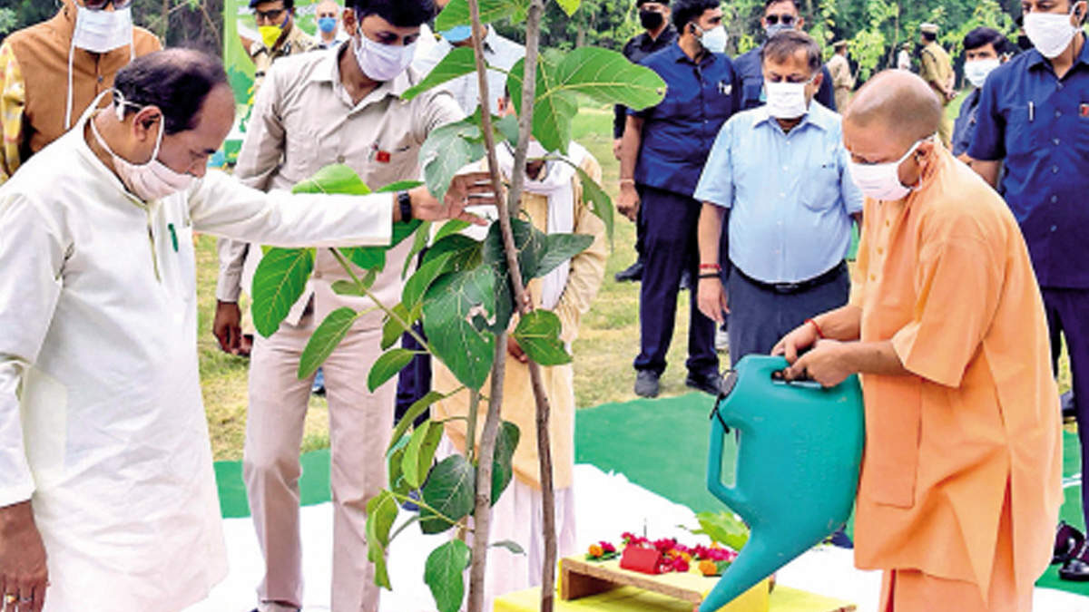 20 Million Trees Planted in a Day - Just the Beginning for India's ...