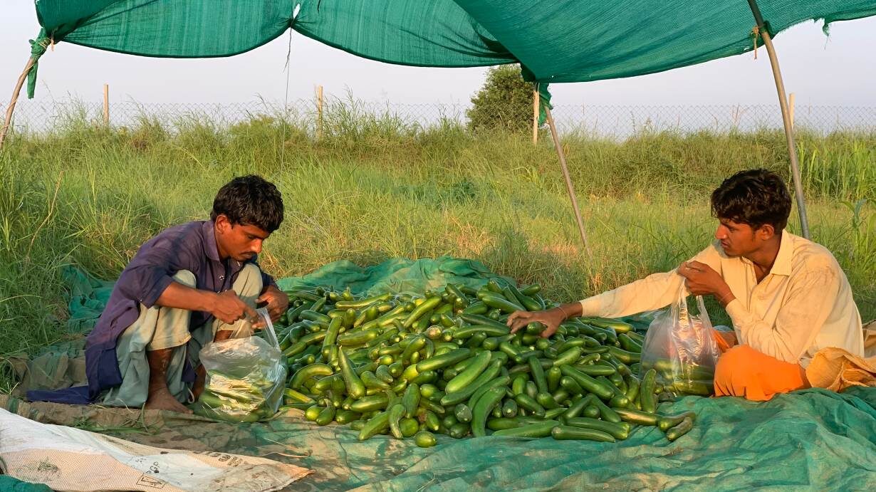“More Crop per Drop”, or How This Country Saves 60% of Water in Farming ...