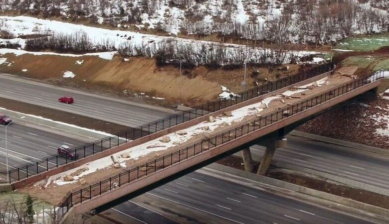 A Highway-Bridge for Elk, Moose, and Deer - and They Really Use It ...
