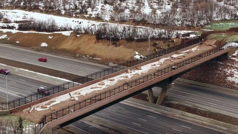 A Highway-Bridge for Elk, Moose, and Deer - and They Really Use It ...