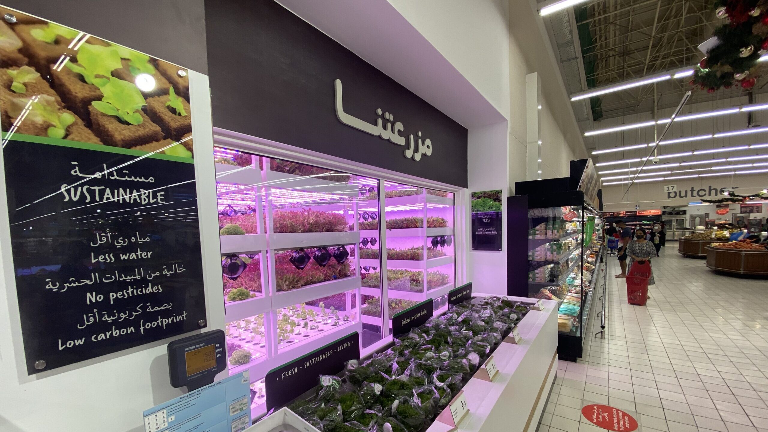 Shopping for Greens? Here Is the Farm Inside the Supermarket! | twib.news