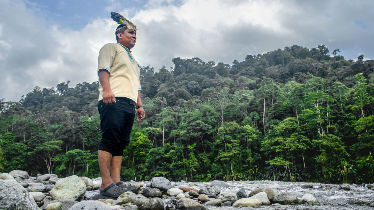 Indigenous Tribe Regains Control of Ancestral Land | twib.news