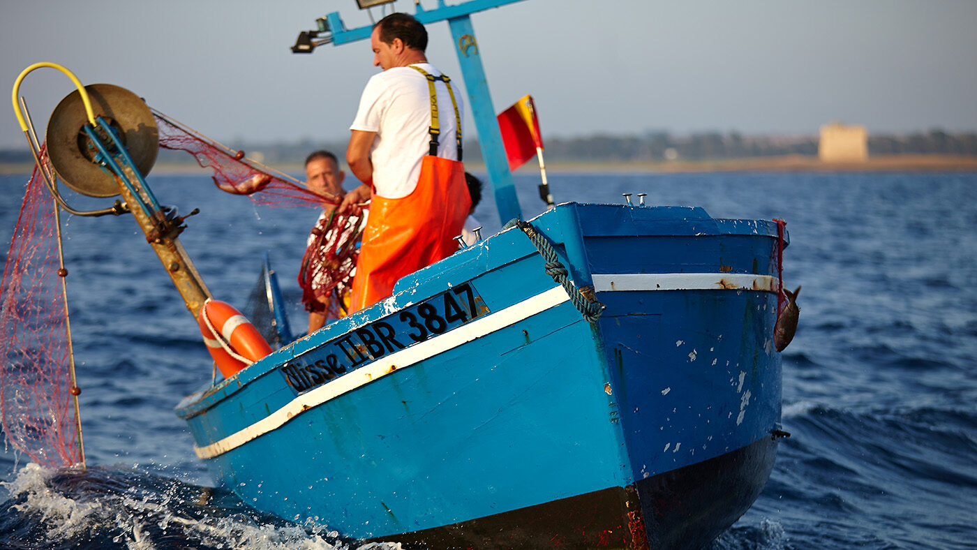 Leading by Example: Fishing Sustainably to Make Money Is Possible ...