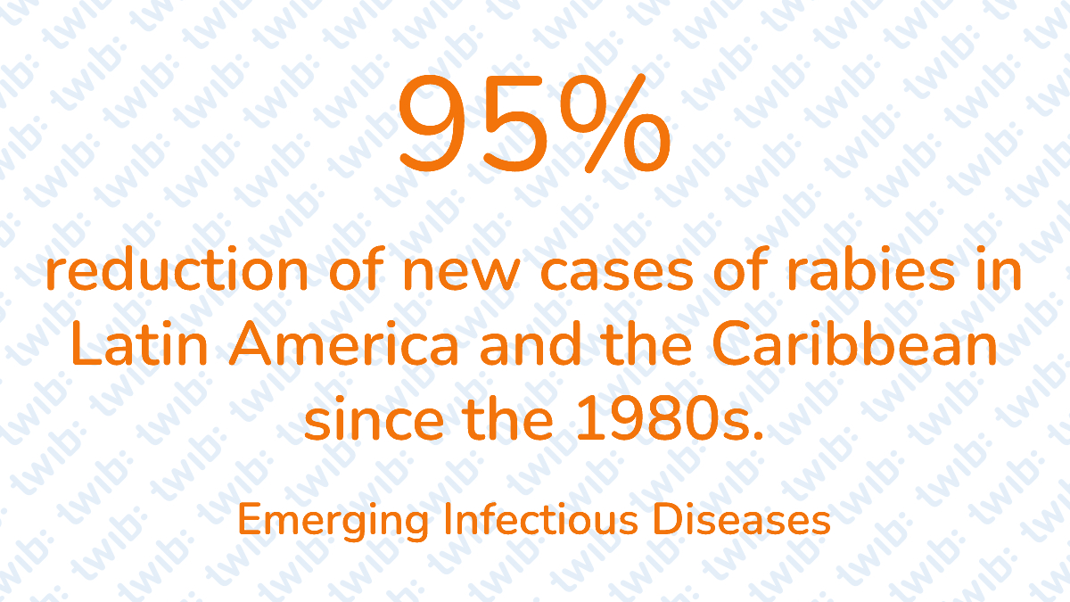 95% reduction of new cases of rabies in Latin America and the Caribbean ...