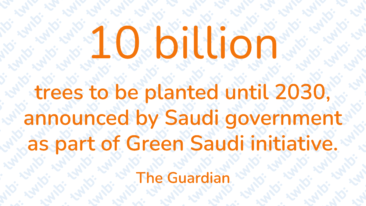 10 billion trees to be planted until 2030, announced by the Saudi ...