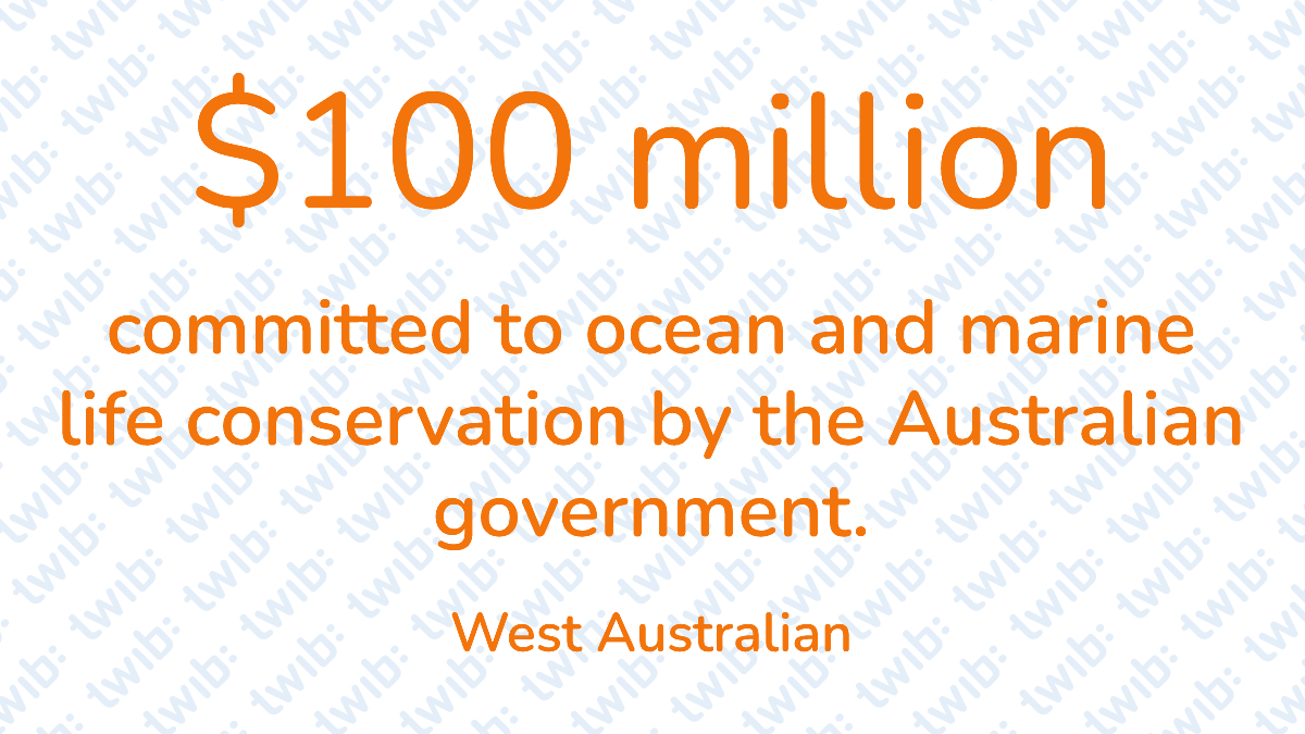 $100 million committed to ocean and marine life conservation by the ...