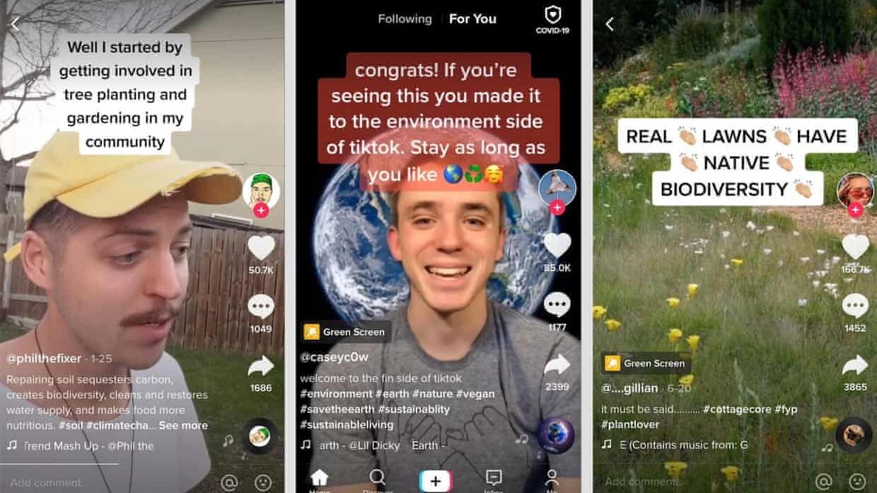 Saving the Planet, One "Green Meme" At a Time | twib.news