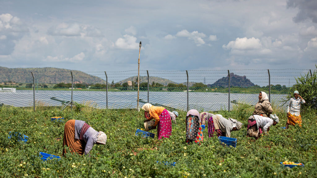 Country Reaches Green Goal Nine Years Ahead of Schedule | twib.news