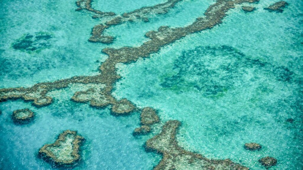 Here's How Just the Sound of an Ocean Can Help Restore Marine ...