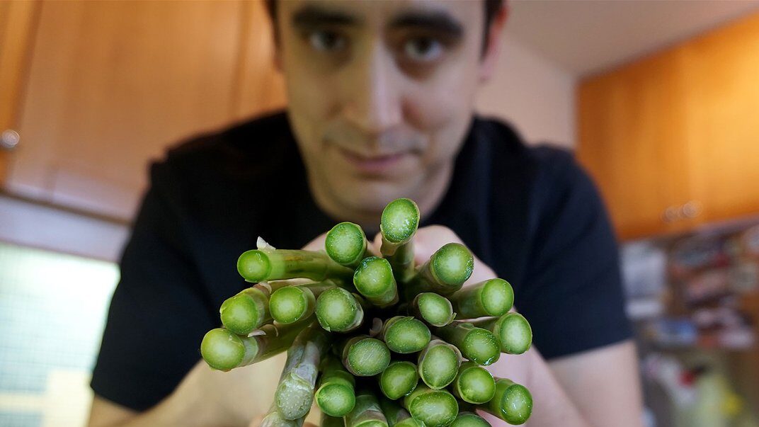 How Common Foods Help Grow Human Cells (and Why it is Important) | twib ...