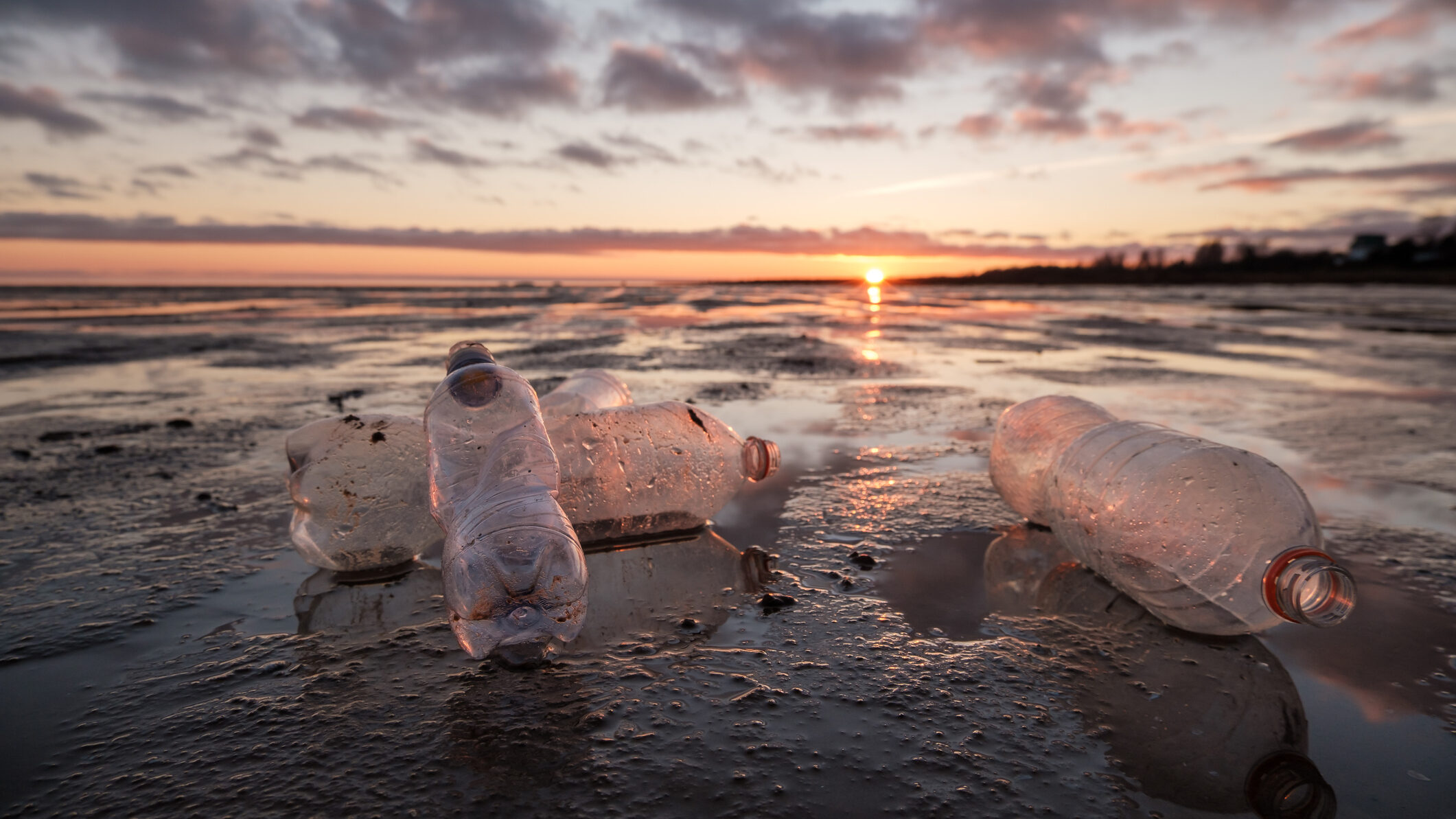 175 Countries Join Hands Against Plastic Pollution | twib.news