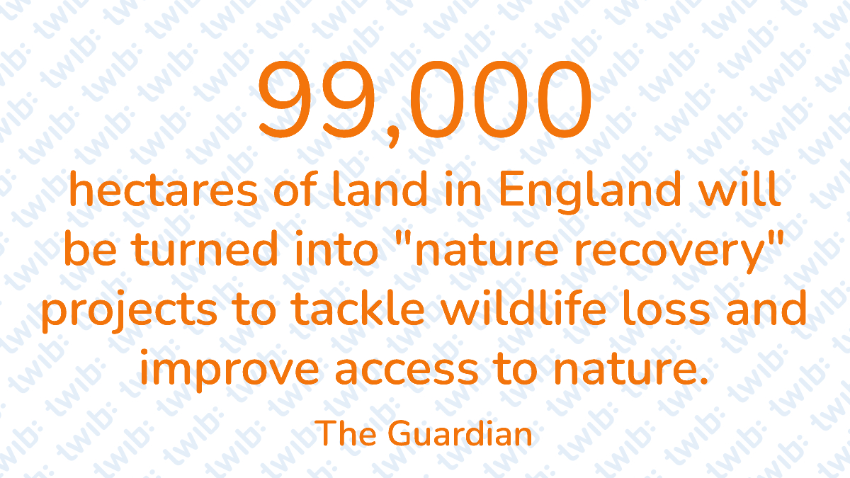 99,000 hectares of land in England will be turned into "nature recovery ...
