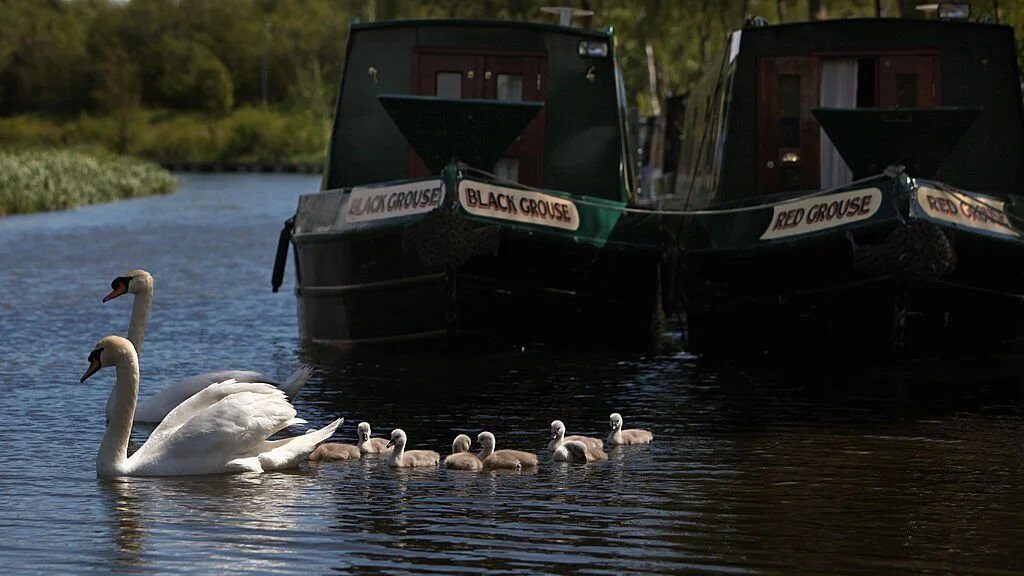 First-Ever Rotating Boat Brings Life Back to the Canals | twib.news