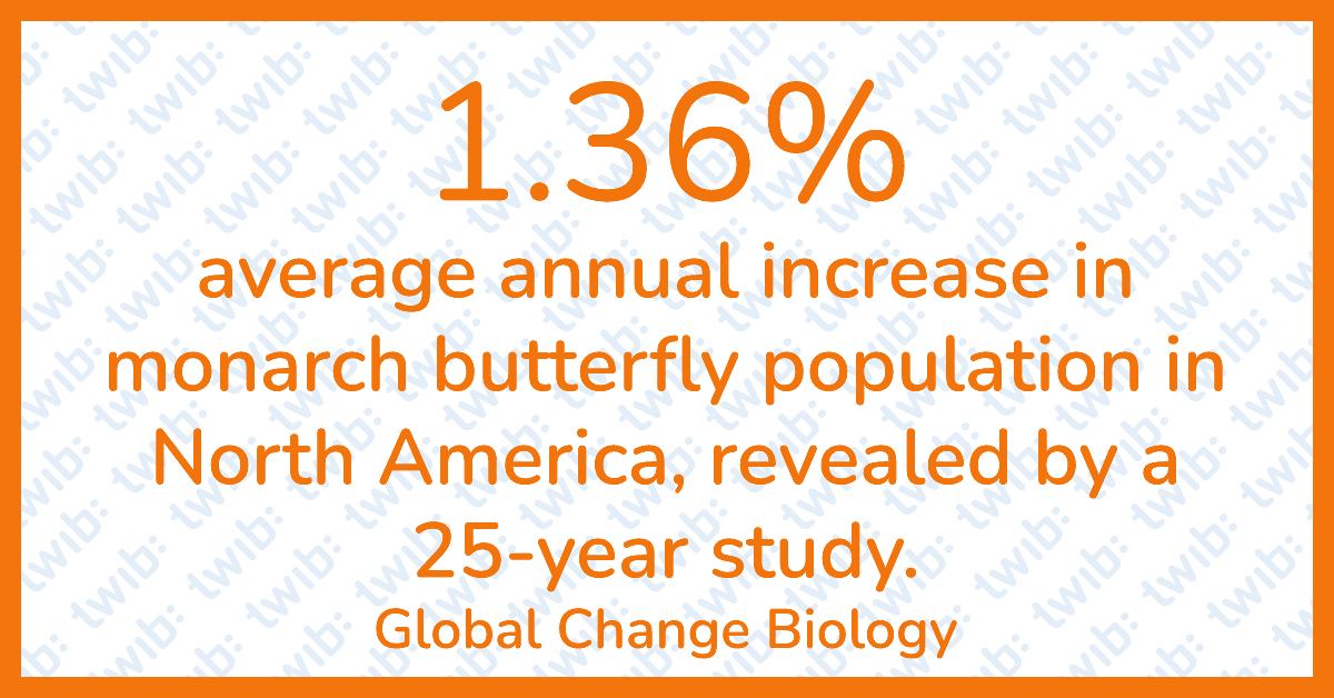 1.36% average annual increase in monarch butterfly population in North ...