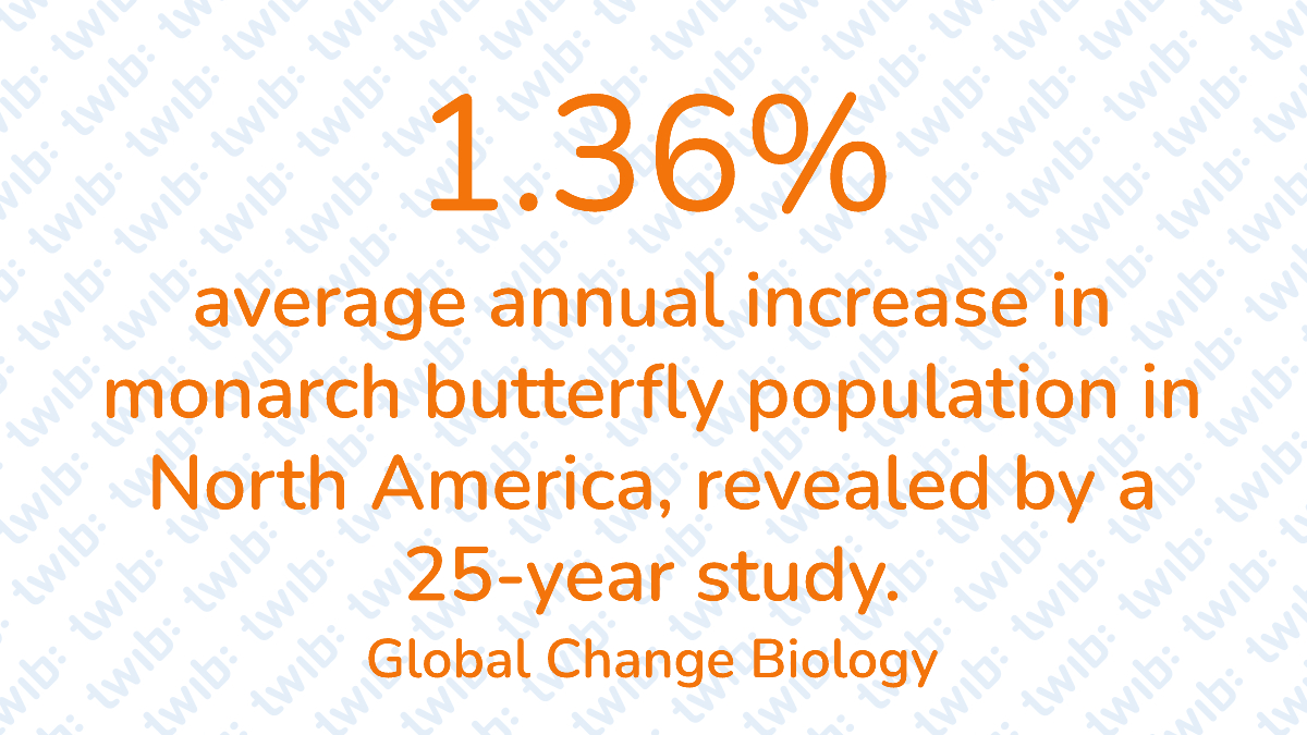 1.36% average annual increase in monarch butterfly population in North ...