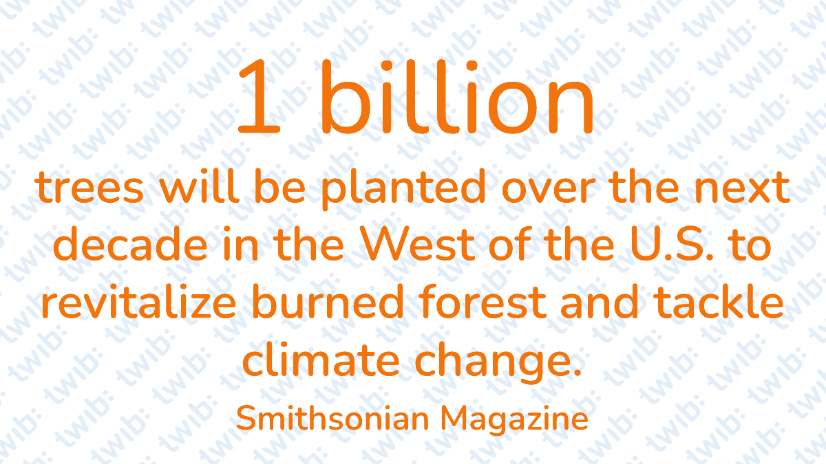 1 billion trees will be planted over the next decade in the West of the ...