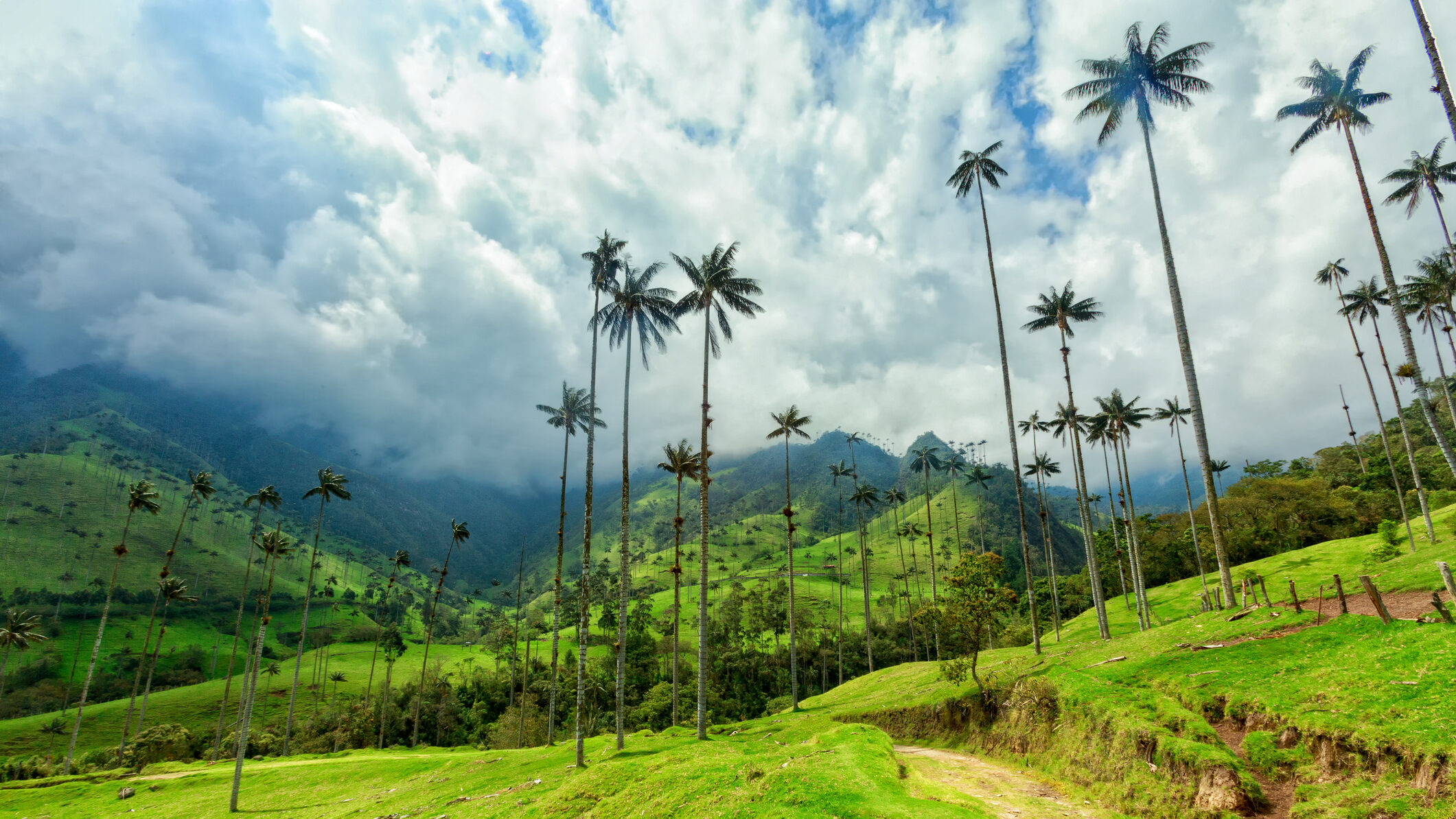 Conservation Project Kicks Off to Protect Vital Ecosystems | twib.news