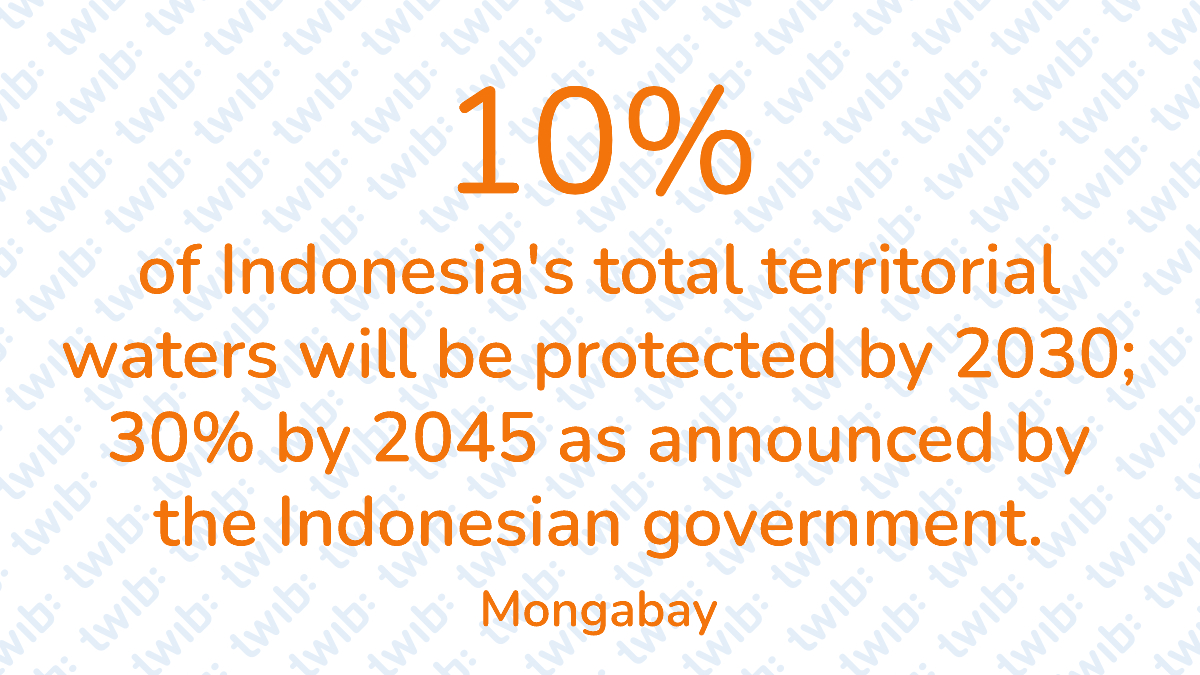 10% of Indonesia's total territorial waters will be protected by 2030; 30% by 2045 as announced ...