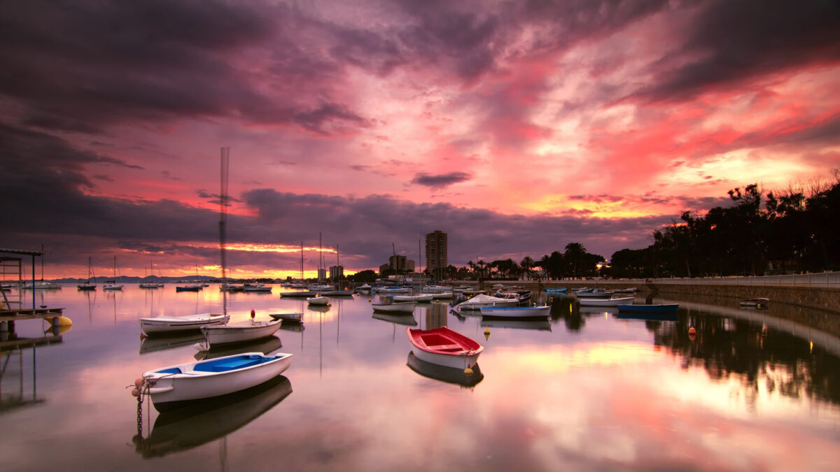 Bear Farming Is Coming to a Full Stop in This Country | twib.news