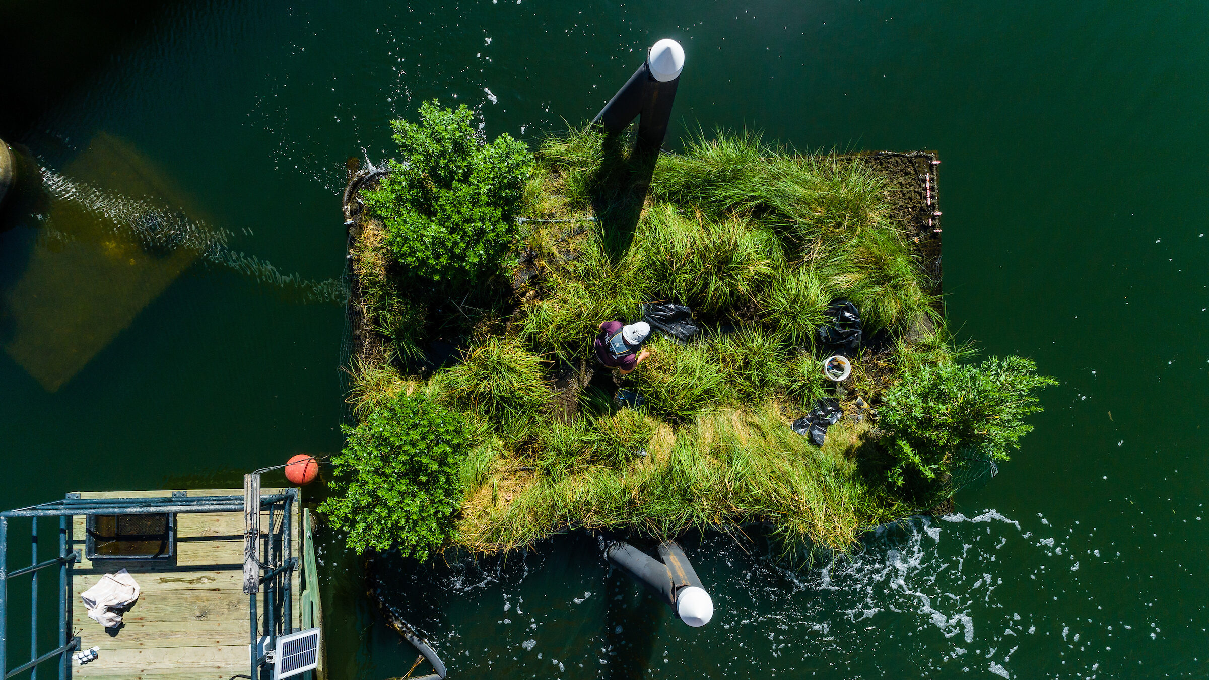 This Floating Eco-Park Cleans Urban Rivers | twib.news