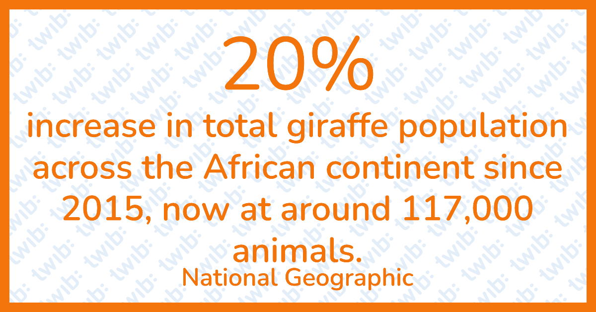 20% increase in the total giraffe population across the African ...