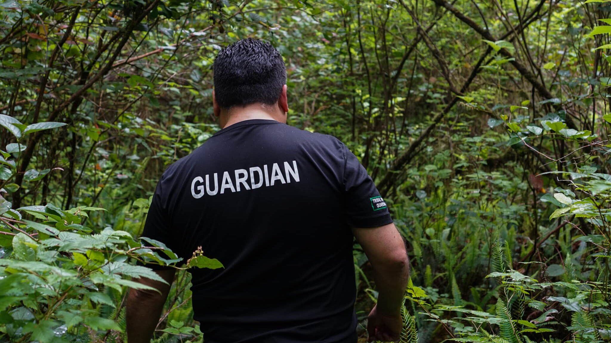 First-of-Its-Kind Network of Indigenous Guardians | twib.news