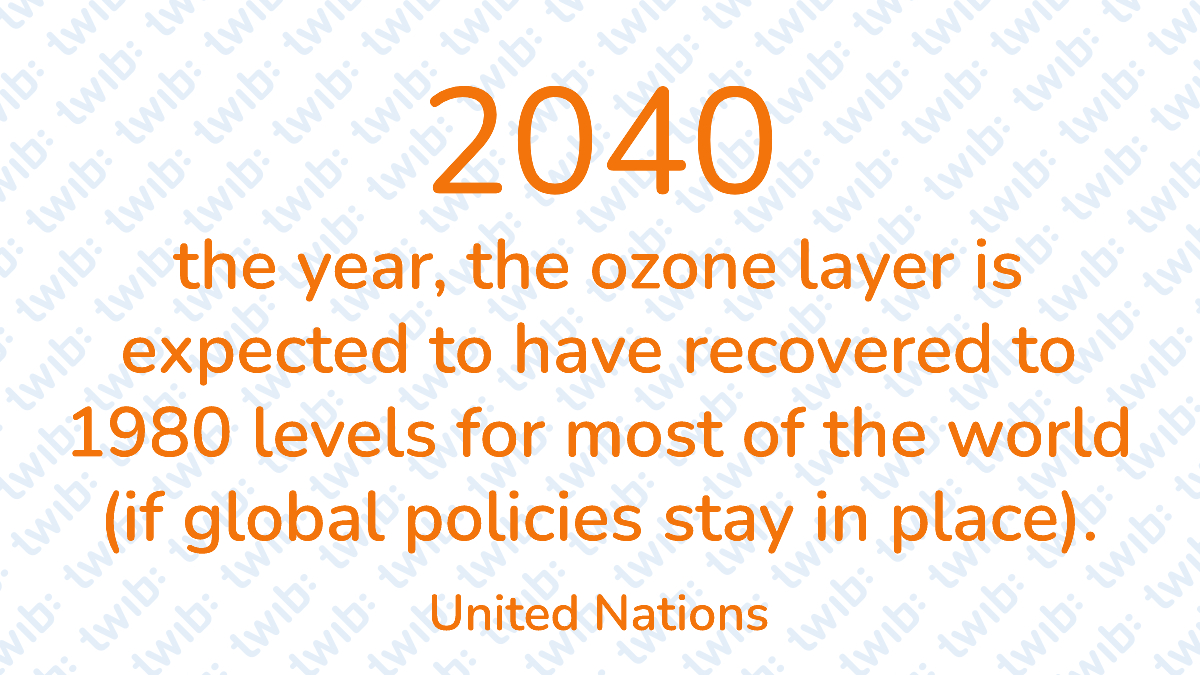 2040 is the year, the ozone layer is expected to have recovered to 1980 ...