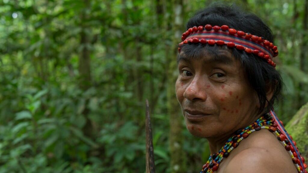 Indigenous Communities Play Key Role in New Rainforest Reserve | twib.news