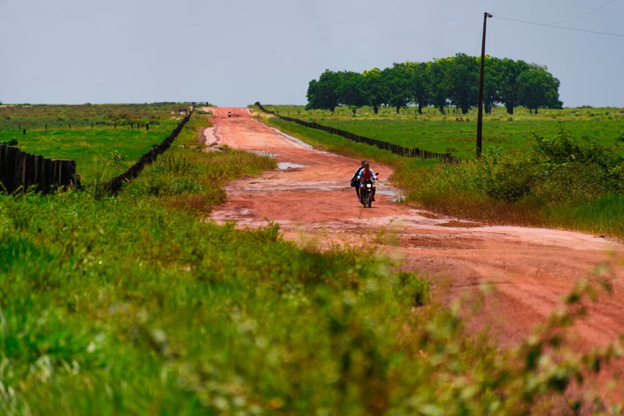 Reforesting the Rainforest - Environmentally and Financially Profitable ...