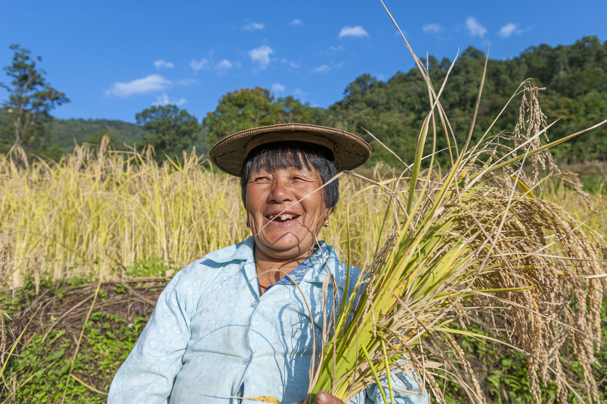 No More Number 2 on the Streets! | twib.news