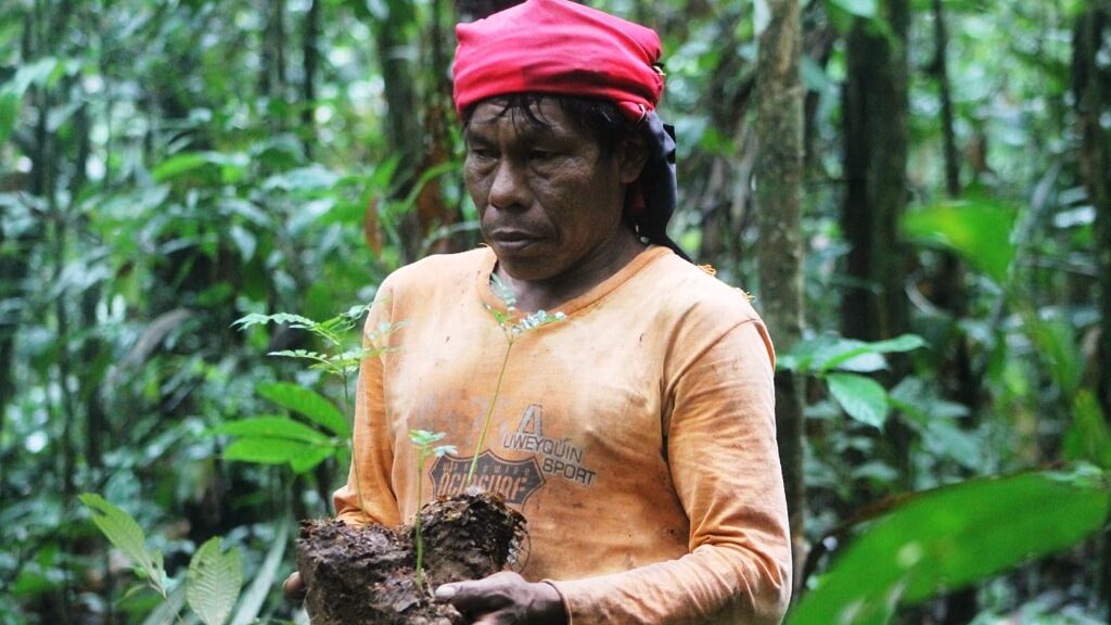 Indigenous Reserves Expanded, Protecting Culture, and Biodiversity ...