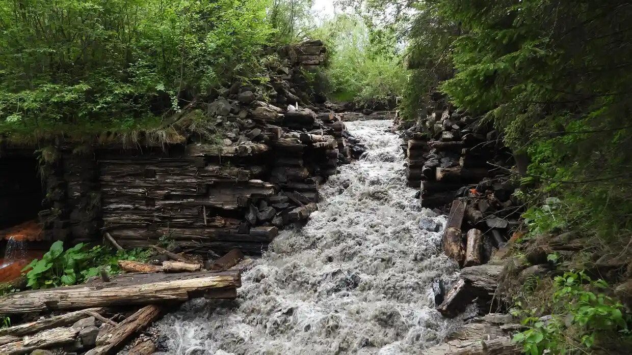 Here's Some Dam Good News for Rivers | twib.news