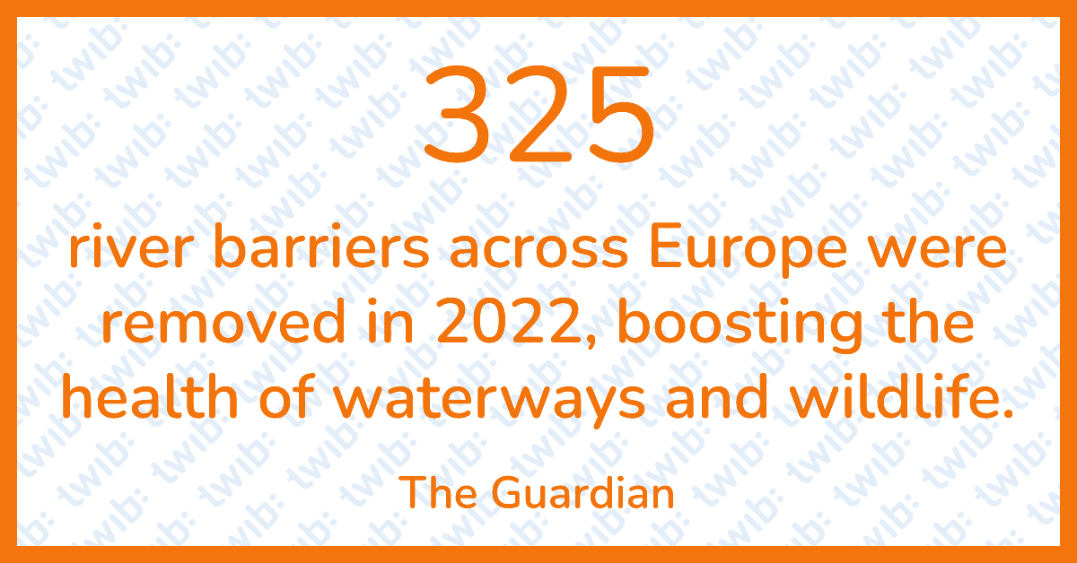 325 river barriers across Europe were removed in 2022, boosting the ...