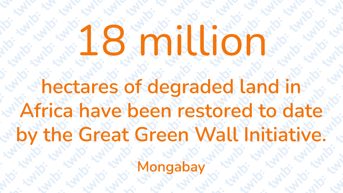 18 million hectares of degraded land in Africa have been restored by ...