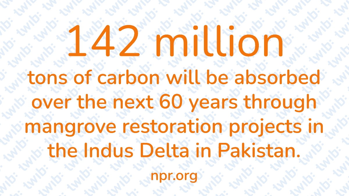 142 million tons of carbon will be absorbed over the next 60 years ...