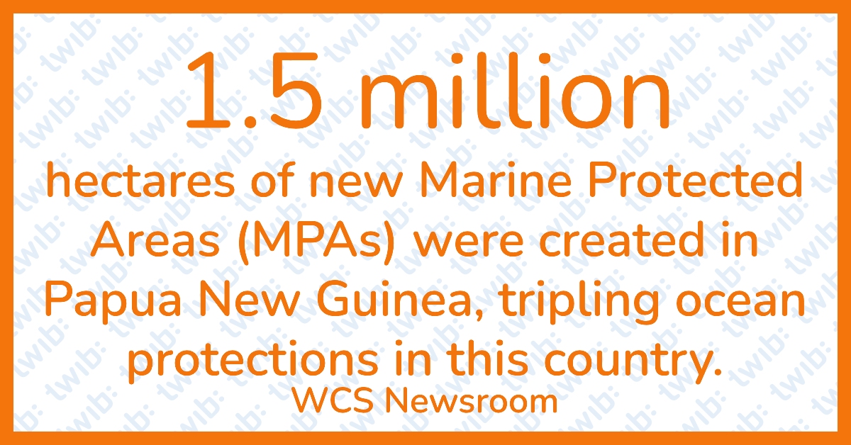 1.5 million hectares of new Marine Protected Areas (MPAs) were created in Papua New Guinea ...