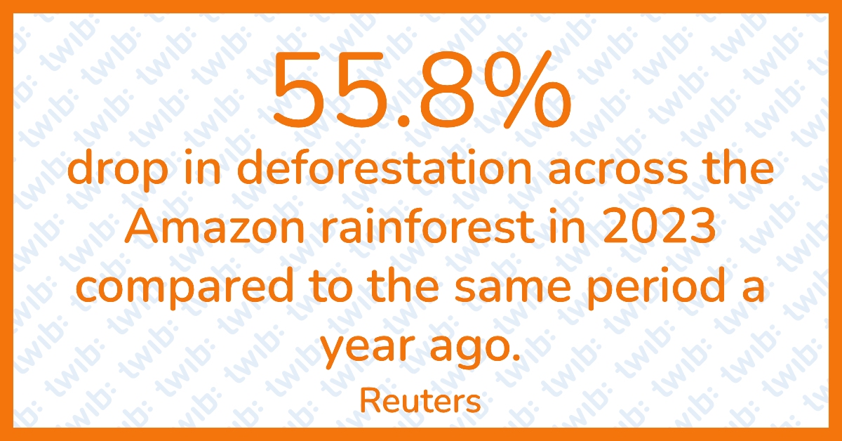 55.8% drop in deforestation across the Amazon rainforest in 2023 ...
