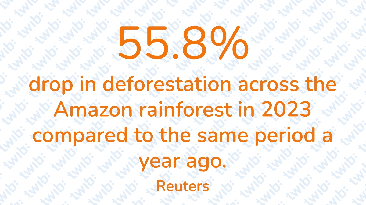 55.8% drop in deforestation across the Amazon rainforest in 2023 compared to the same period a ...